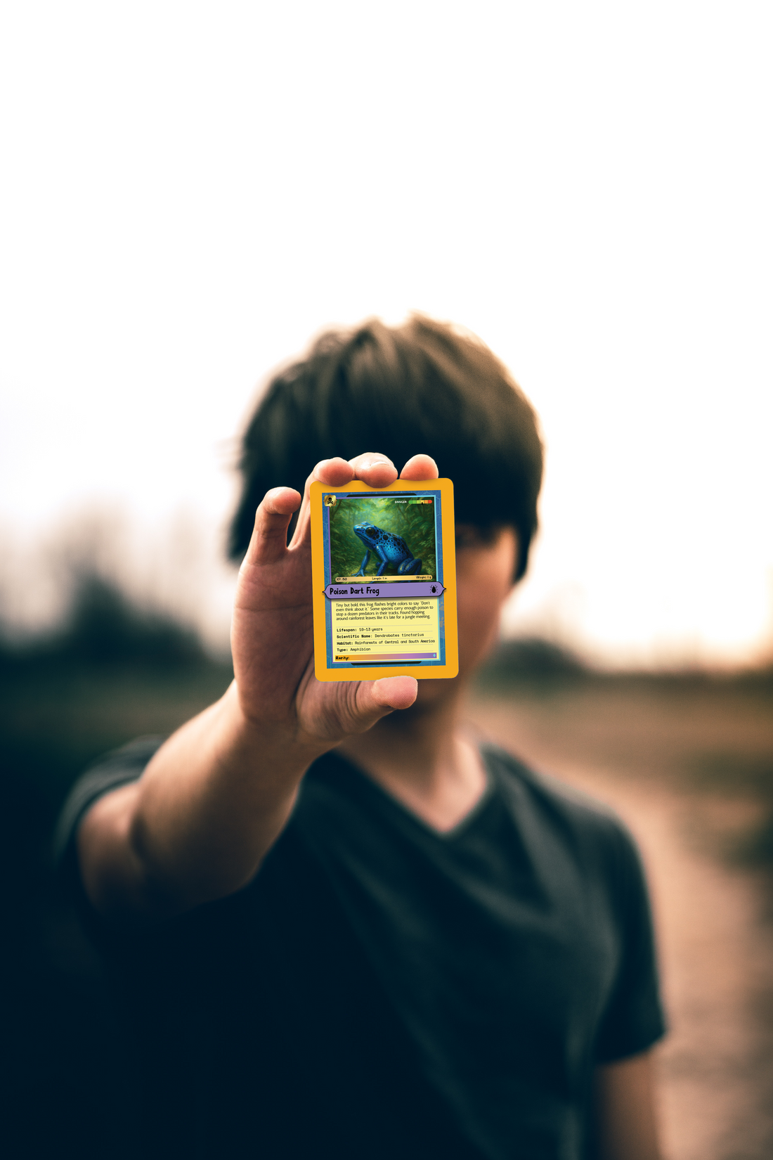 The Creature Cards